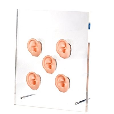 Ear Displays
