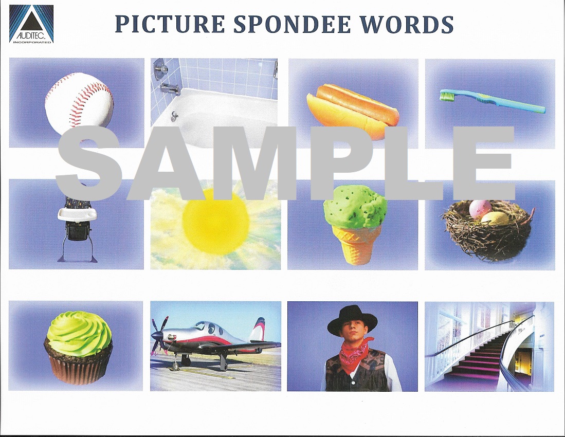 Pictured Spondee Words PHOTO Picture Card - Color, 11"L x 8.5"H